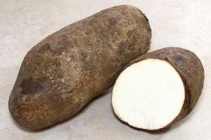 White Yam 1 tubers – ikija.com